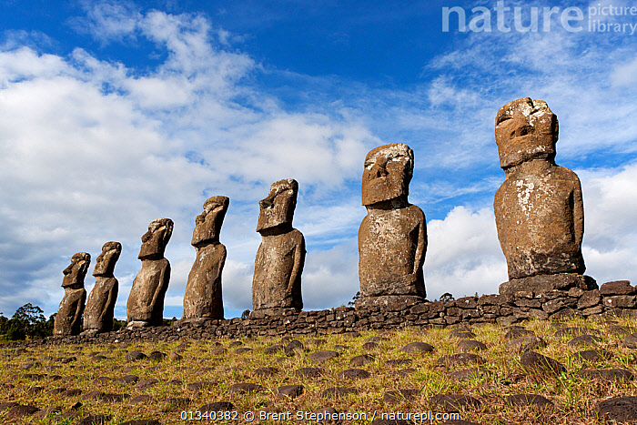 Stock photo of The seven Moai at Ahu Akivi that stand with their backs ...