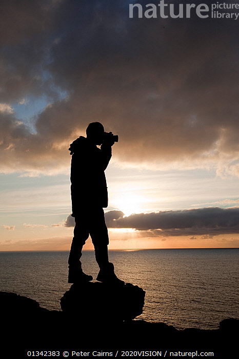 Stock photo of Silhouette of photographer at dusk, Mark Hamblin ...
