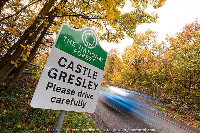 Stock photo of The National Forest road sign at Castle Gresley with ...
