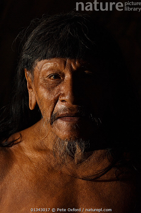 Stock photo of Portrait of a Huaorani man. Yasuni National Park ...
