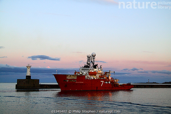 Stock photo of Dive support vessel "Seven Pelican" berthing at ...