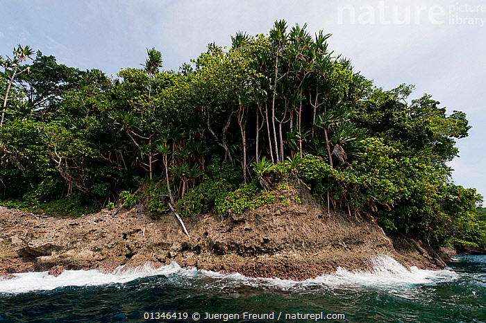 Stock photo of Tetepare Island (largest uninhabitated island in the ...