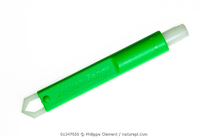 Stock photo of Tick extractor / remover. Closed position.. Available ...