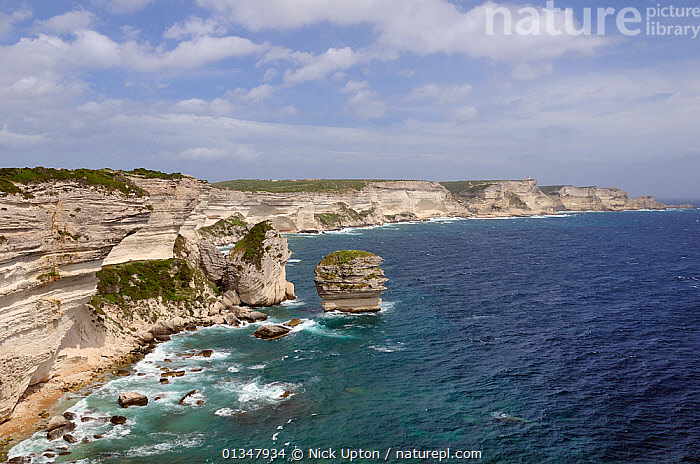 Stock photo of White limestone cliffs with sections that have collapsed ...