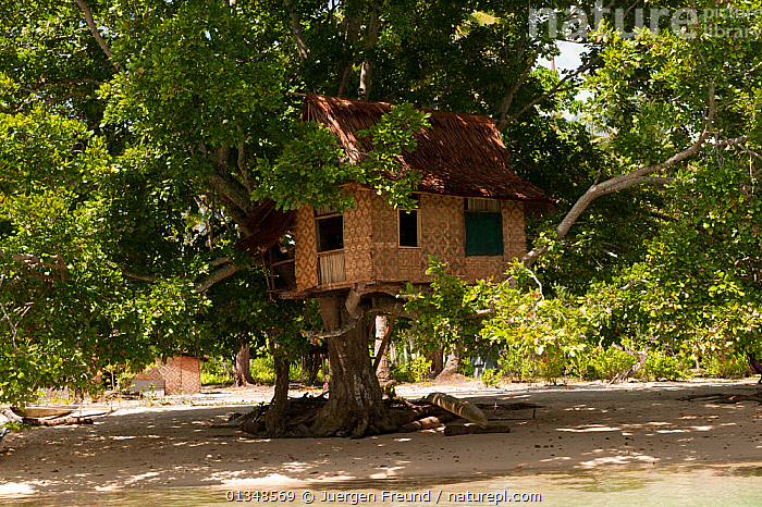 Papua New Guinea Tree Houses