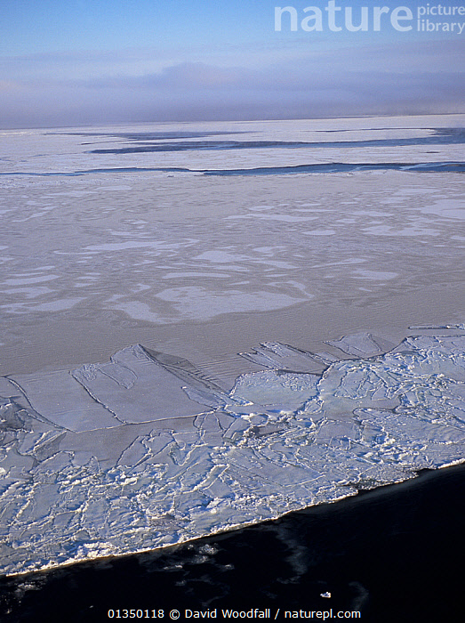 Stock photo of Aerial view of pancake ice sheet melting in Hudson Bay ...