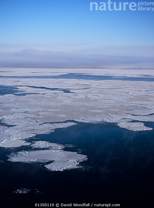 Stock photo of Aerial view of pancake ice sheet melting in Hudson Bay ...