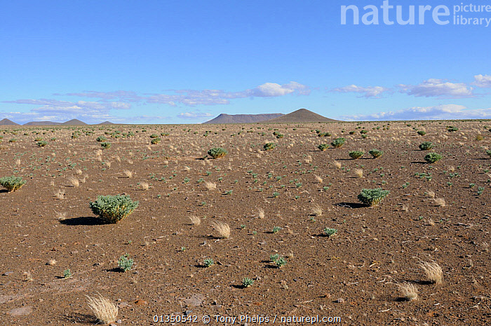 Stock photo of Semi-arid desert in the Tankwa Karoo National Park ...