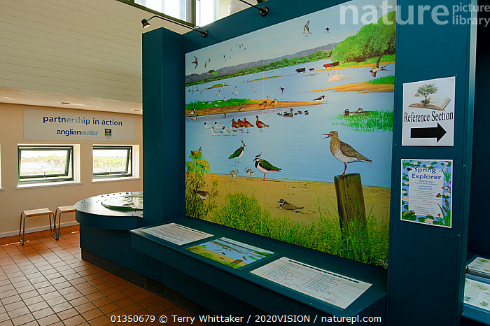 Stock photo of Bird identification chart at the Anglian Bird Watching ...