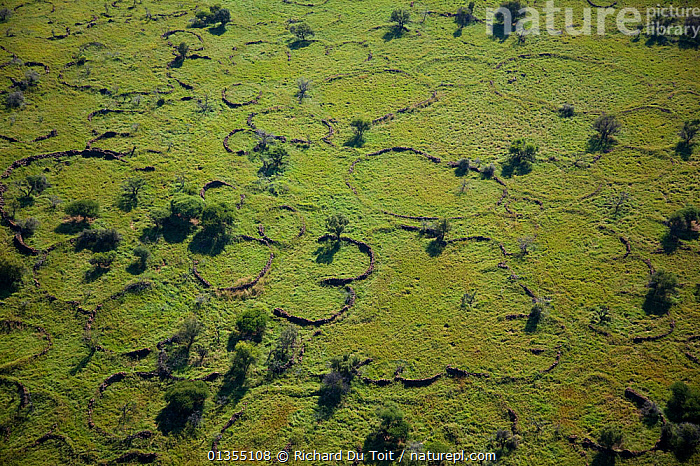 Stock photo of Aerial photo of Molokwane Iron Age Village, North West ...