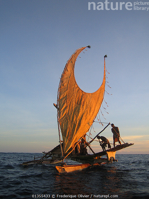 Stock photo of Traditional voyaging canoe made as part of the Vaka ...