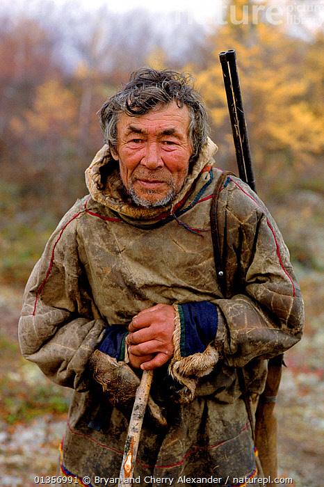 Stock photo of Elderly Nenets man out hunting wild Reindeer in Autumn ...