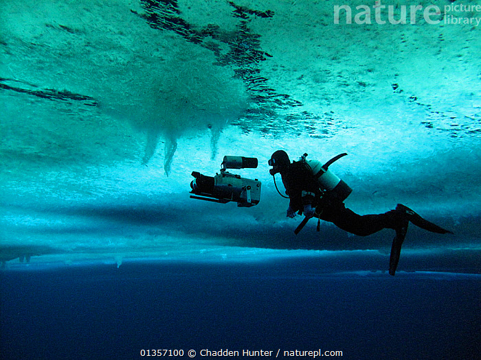 Stock photo of Cameraman, Didier Noirot, filming the formation of ...