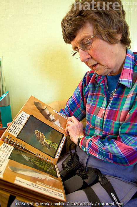 Stock photo of Visitor looking at Hen harrier journal, Forsinard Flows ...