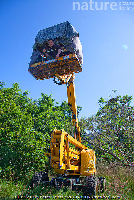 Stock photo of Photographer Peter Cairns in hide on mechanical ...