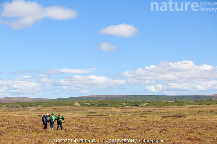 Stock photo of Family on nature walk at RSPB Forsinard Flows, Flow ...