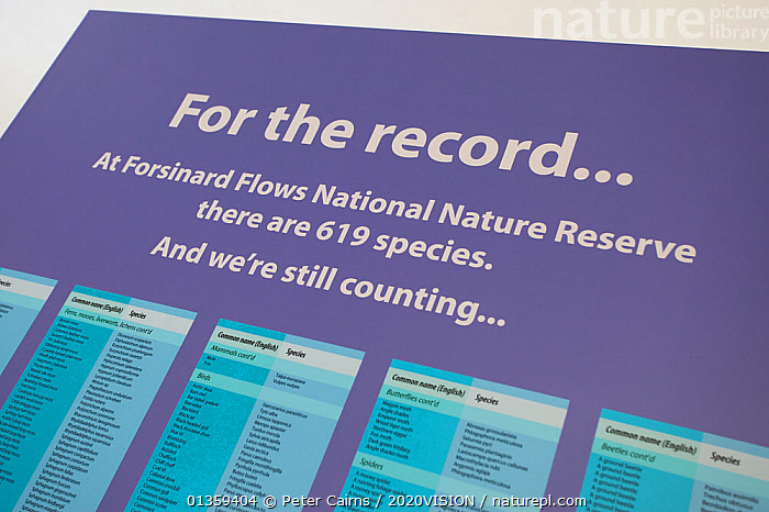 Stock photo of List of species seen at the RSPB Forsinard Flows reserve ...