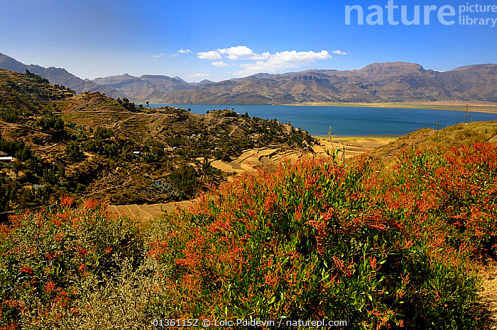 Stock photo of Lake Aschenge in the Ethiopian highlands, Rift valley ...