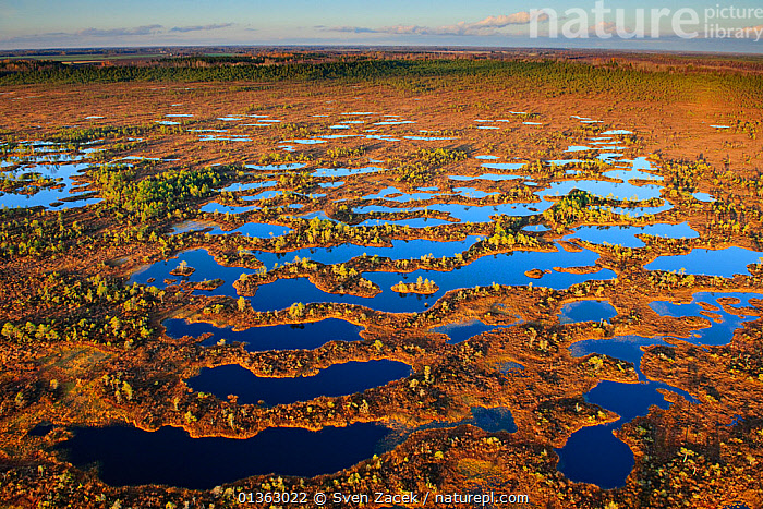 Stock photo of Lowland marshes seen from the air. Estonia, Europe ...