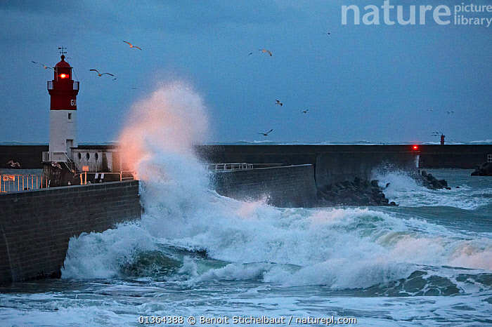 Stock photo of Huge wave breaking against lighthouse, Finistere ...