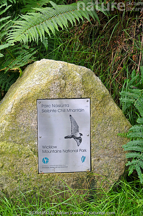 Stock photo of Wicklow Mountains National Park sign, Glendalough ...