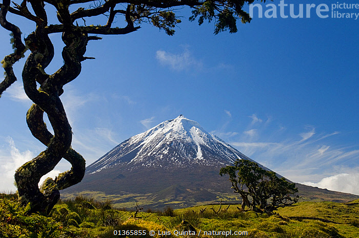 Stock photo of Mount Pico, volcanic mountain, Pico Island, Azores ...