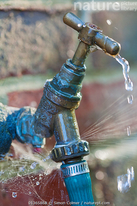 Stock photo of Leaking garden tap, wasting water, UK. Available for ...