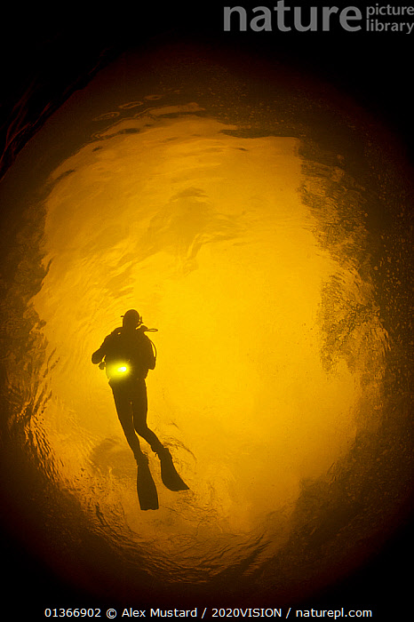 Stock photo of Scuba diver swimming in peat stained waters of River ...