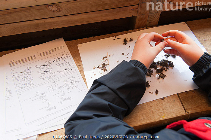 Stock photo of Children from Robert Blake Science College learning ...