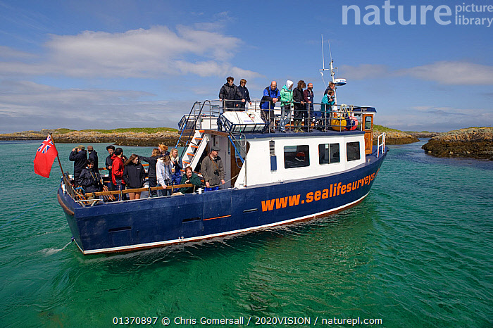 Stock photo of Tourists on board the Sea Life Surveys vessel Sula Beag ...
