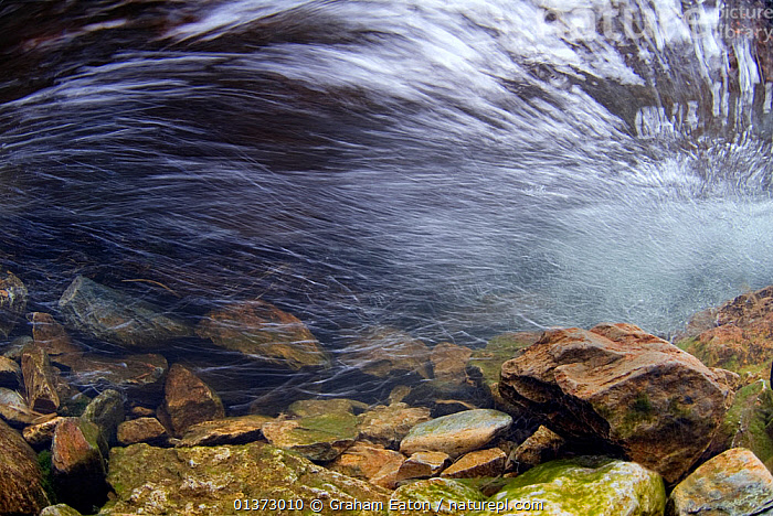 Stock photo of Underwater view of a rapidly flowing mountain stream ...