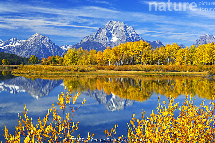Stock photo of Oxbow Bend of the Snake River with the Grand Tetons on ...