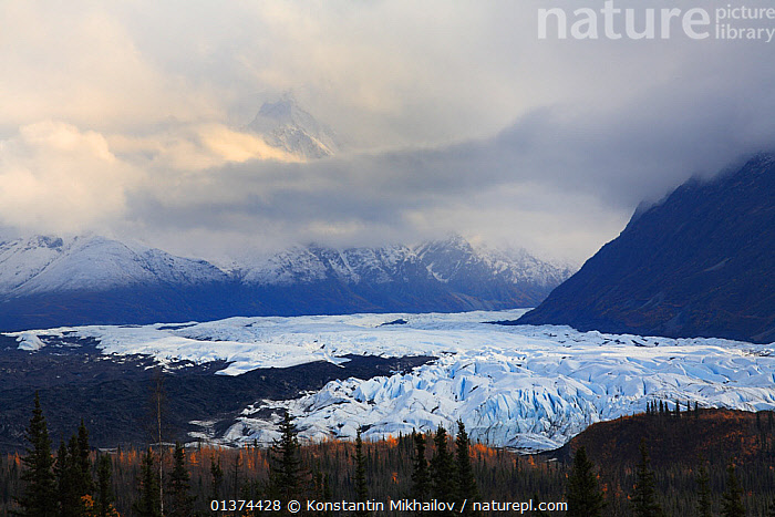 Stock photo of Matanuska Glacier in the upper reaches of Matanuska ...