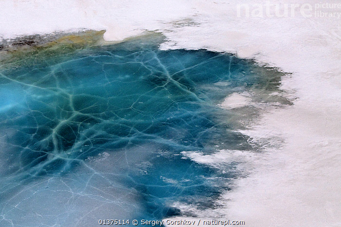 Stock photo of Aerial view of meltwater lake, Taimyr Peninsula, Siberia ...