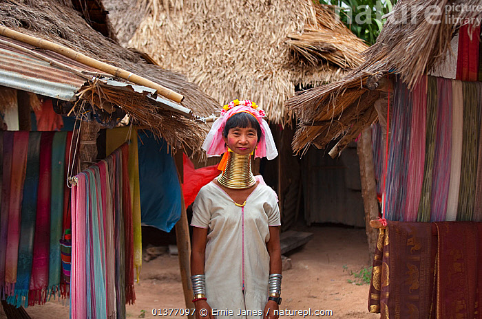 Stock photo of Long necked woman with many neck rings, belonging to ...