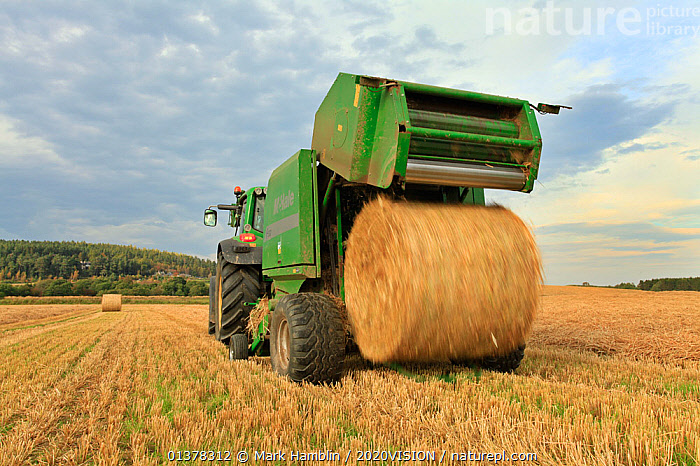 Stock photo of Baling machine ejecting a bale of Barley straw on arable ...
