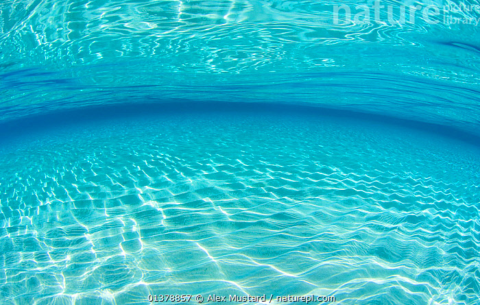 Stock photo of Underwater scene where light and water interplay on a ...