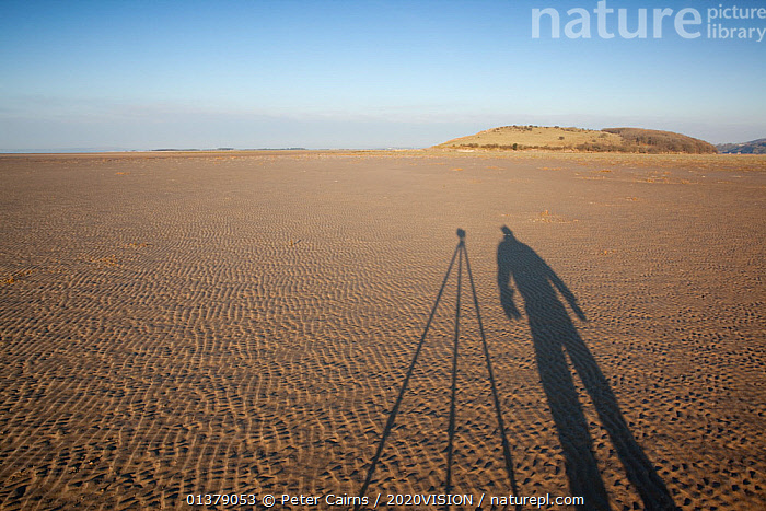 Stock photo of Shadow of photographer Peter Cairns on mudflats ...
