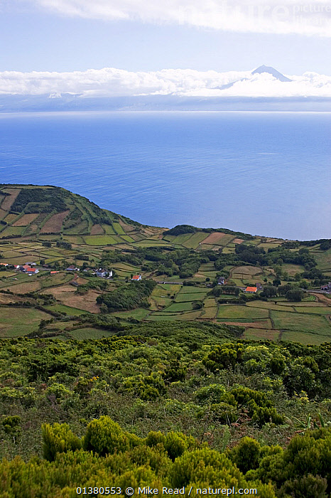 Stock photo of Farmland on the coast of Sao Jorge. Azores, September ...