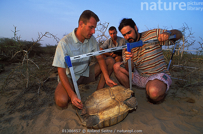 Stock photo of Antoine Cadi, scientist, and assistants measure the ...