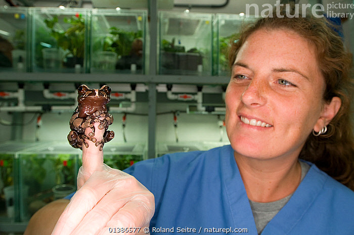 Stock photo of Conservation officer, Heidi Griffith, with Crowned tree ...