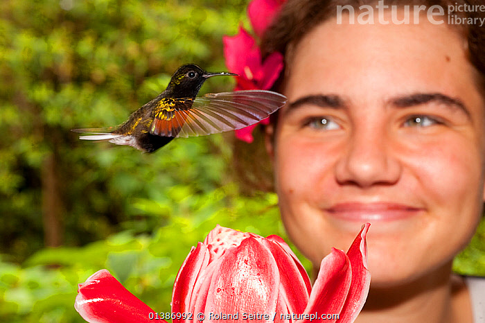 Stock photo of Girl watching Black-bellied Hummingbird (Eupherusa ...