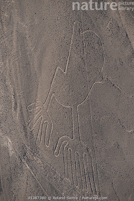 Nazca Lines Hands Peru's Ancient Lines Face 21st Century Threats