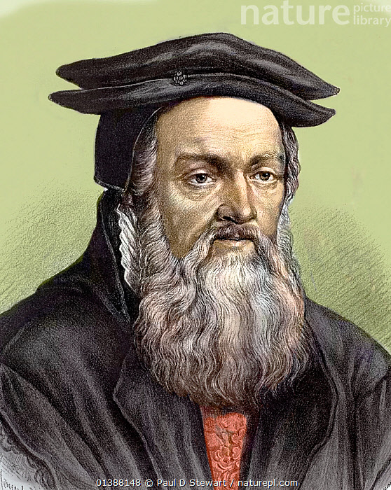 Stock photo of Portrait of Conrad Gesner (or Gessner) Swiss Natural ...