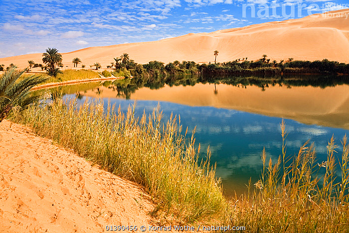 Stock photo of Mandara Lakes in the dunes of Ubari, oasis Um el Ma ...