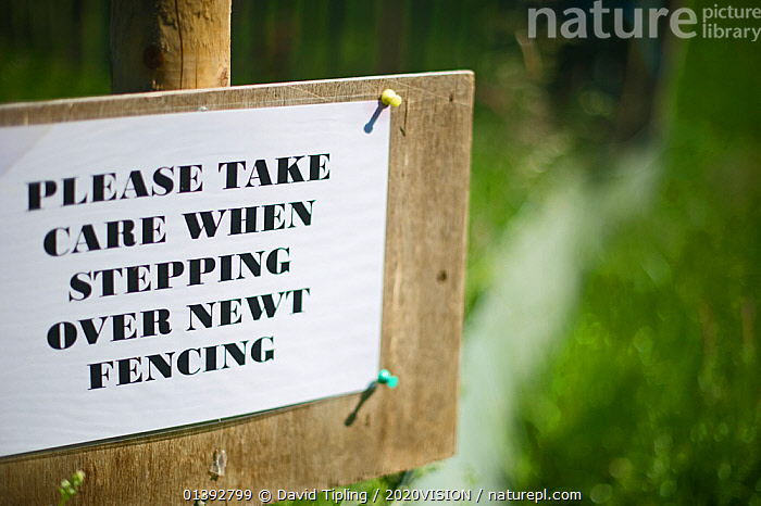 Stock photo of Newt fence sign erected at lagoon creation area to ...