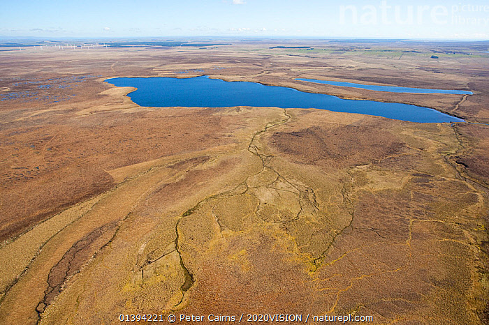 Stock photo of Aerial view of Forsinard Flows blanket bog, Forsinard ...