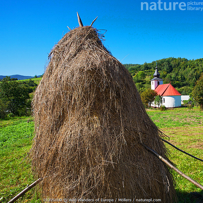 Stock photo of Traditional hay stack with the church of Nova Sedlica ...