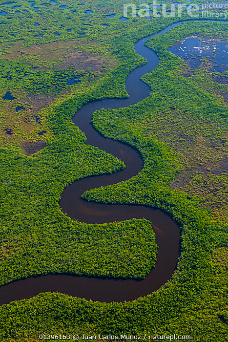 Stock photo of Aerial view of river flowing through Everglades National ...
