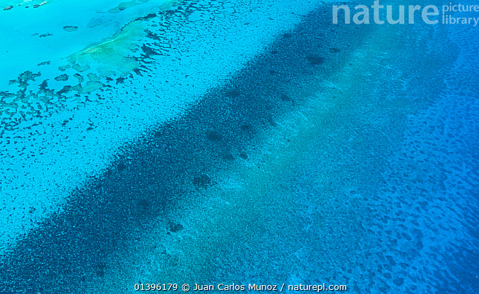 Stock photo of Aerial view of sandbanks off an island of the Bahamas ...